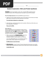 RNA and Protein Synthesis Guide | PDF | Translation (Biology) | Rna