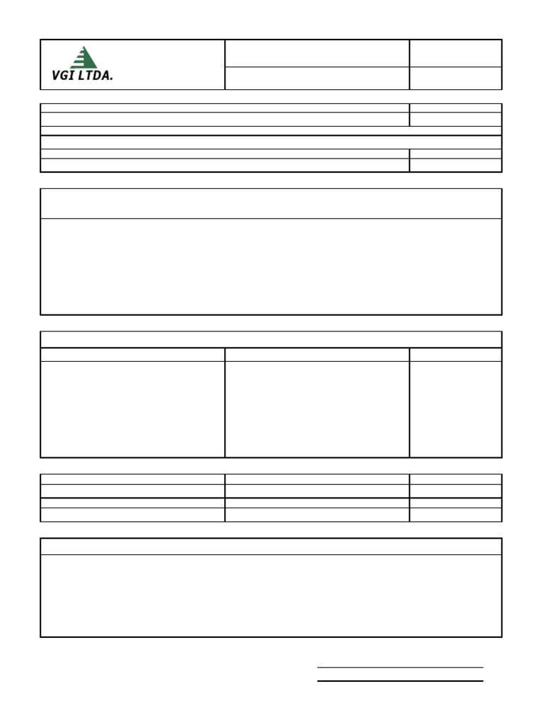 Formatos Vgi de FT-11 | PDF