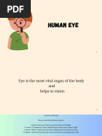 Laramy K OpticianWorks Ultimate ABO Study Guide v6.23 | PDF | Myopia ...