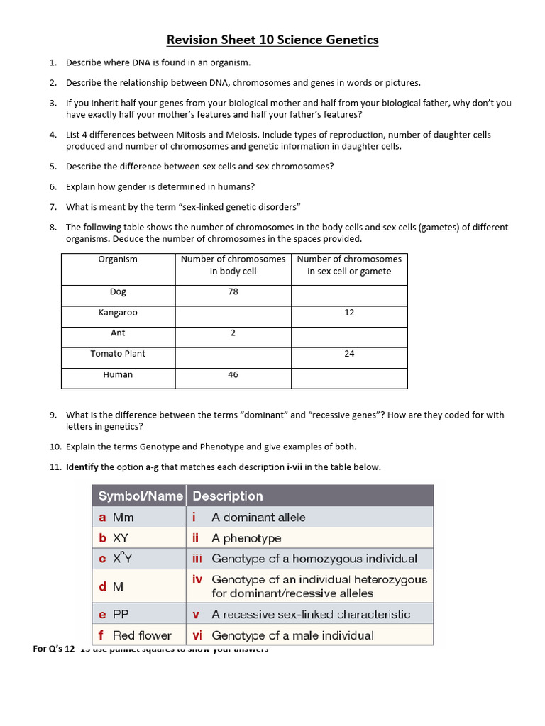 Genetics Revision Sheet 2 | PDF | Dominance (Genetics) | Genotype
