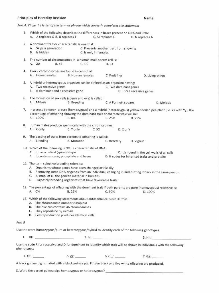 Genetics Revision Sheet 1 With Answers | PDF