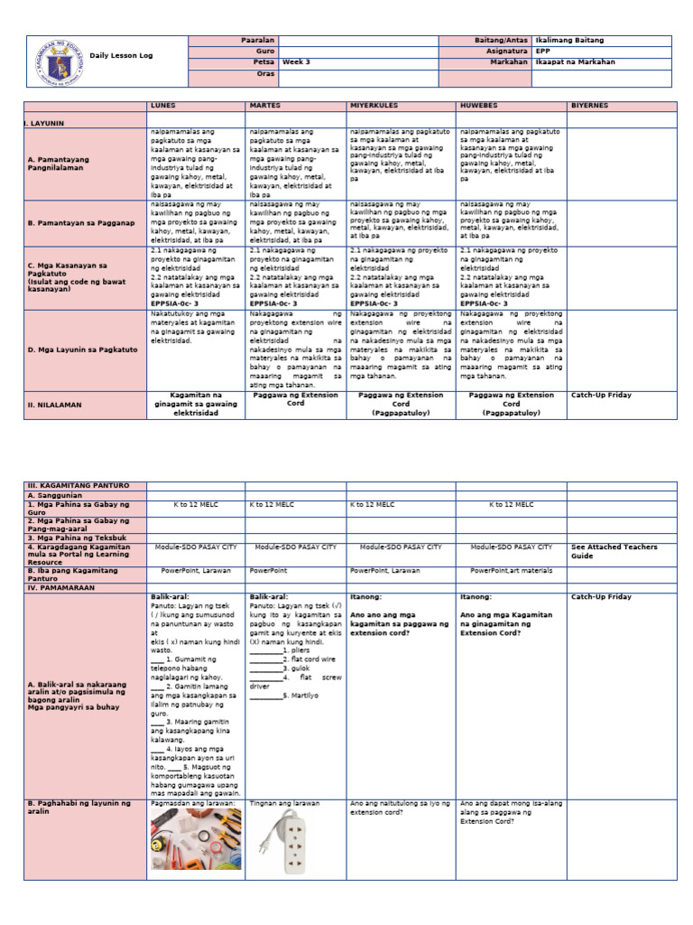 DLL Week 3-q4 Epp 5 | PDF