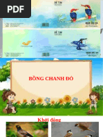 Bồng chanh đỏ | PDF