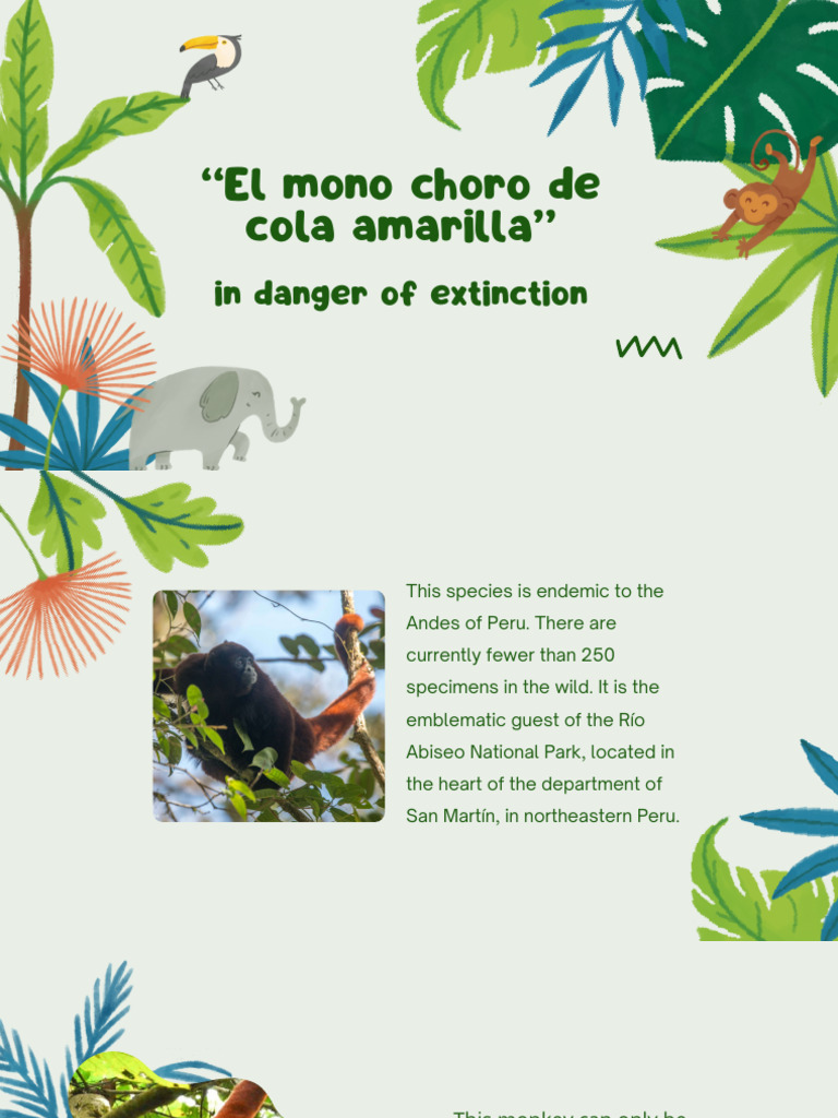 Inglés Mono Choro | PDF