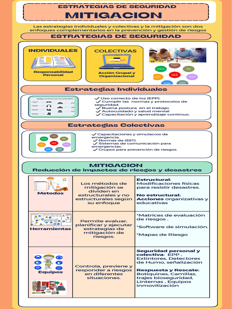 Infografía estrategias de seguridad y Mitigacion | PDF