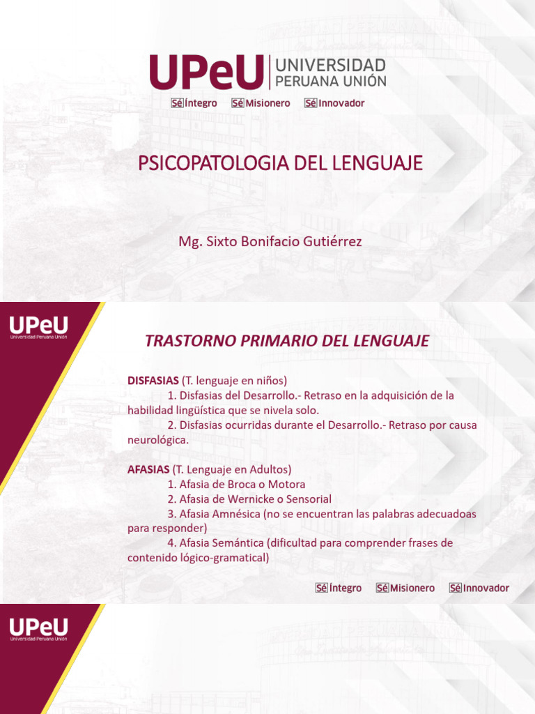 Psic.del Lenguaje | PDF