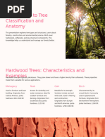 Tree Trunk Cross Section Explained | PDF