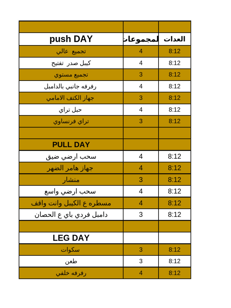 Mohamed Maged Workout | PDF