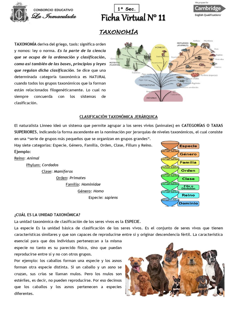 Ciencia y Tec. 1° - Taxonomía | PDF | Taxonomía (biología) | Especies