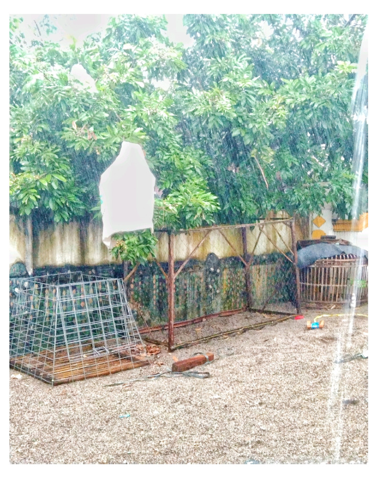 PDF Gallery - 20250320 - 100753 | PDF