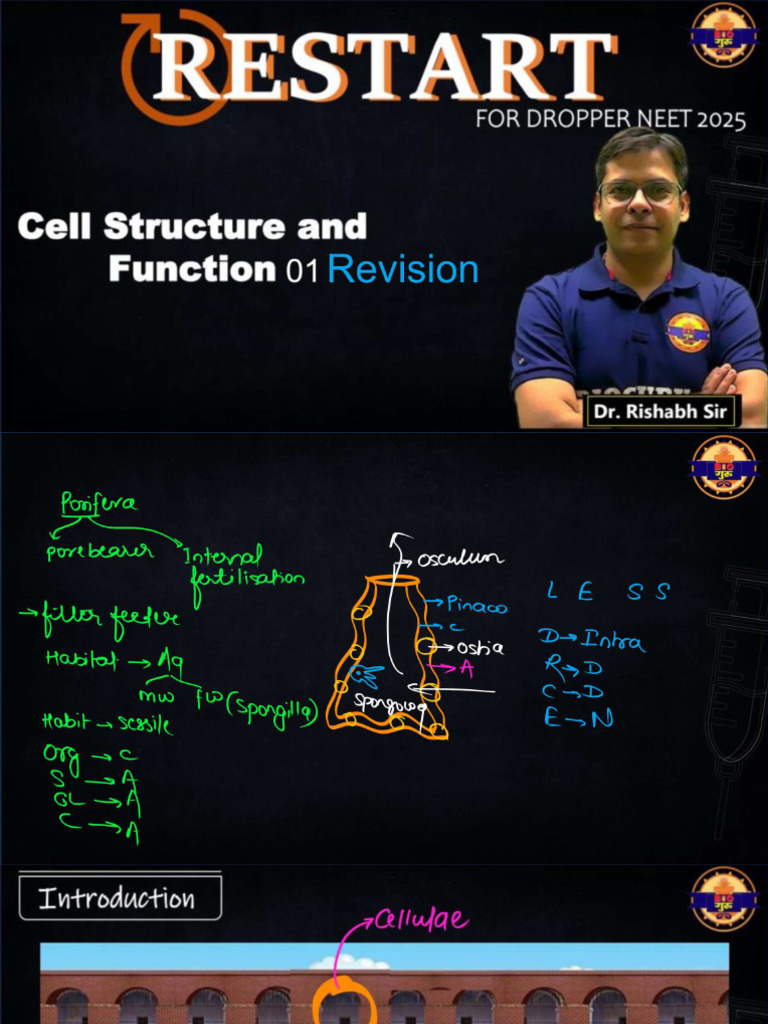 Revision 1 | PDF