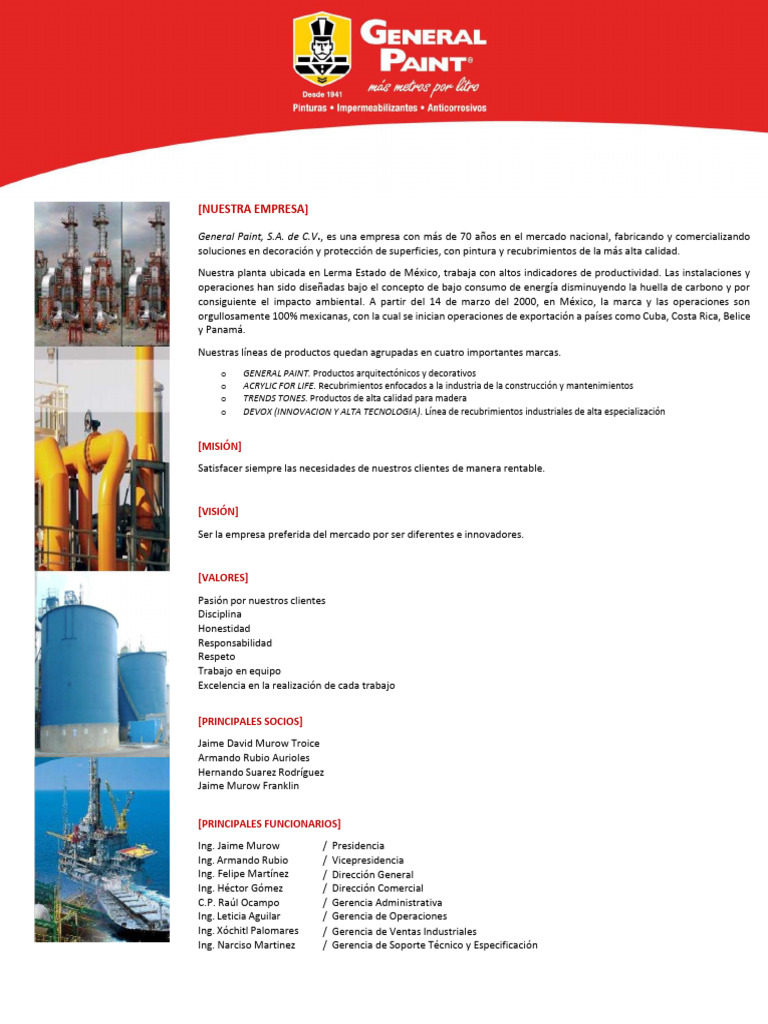 Curriculum Empresarial Gpsa | PDF | México