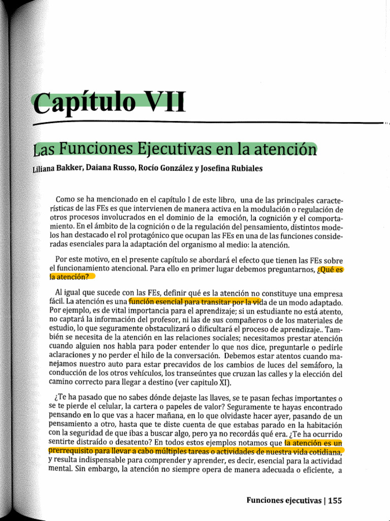 Bakker, L.; Russo, D.; Gonzalez, R. y Rubiales, J. (2021). Las Funciones Ejecutivas en la ...
