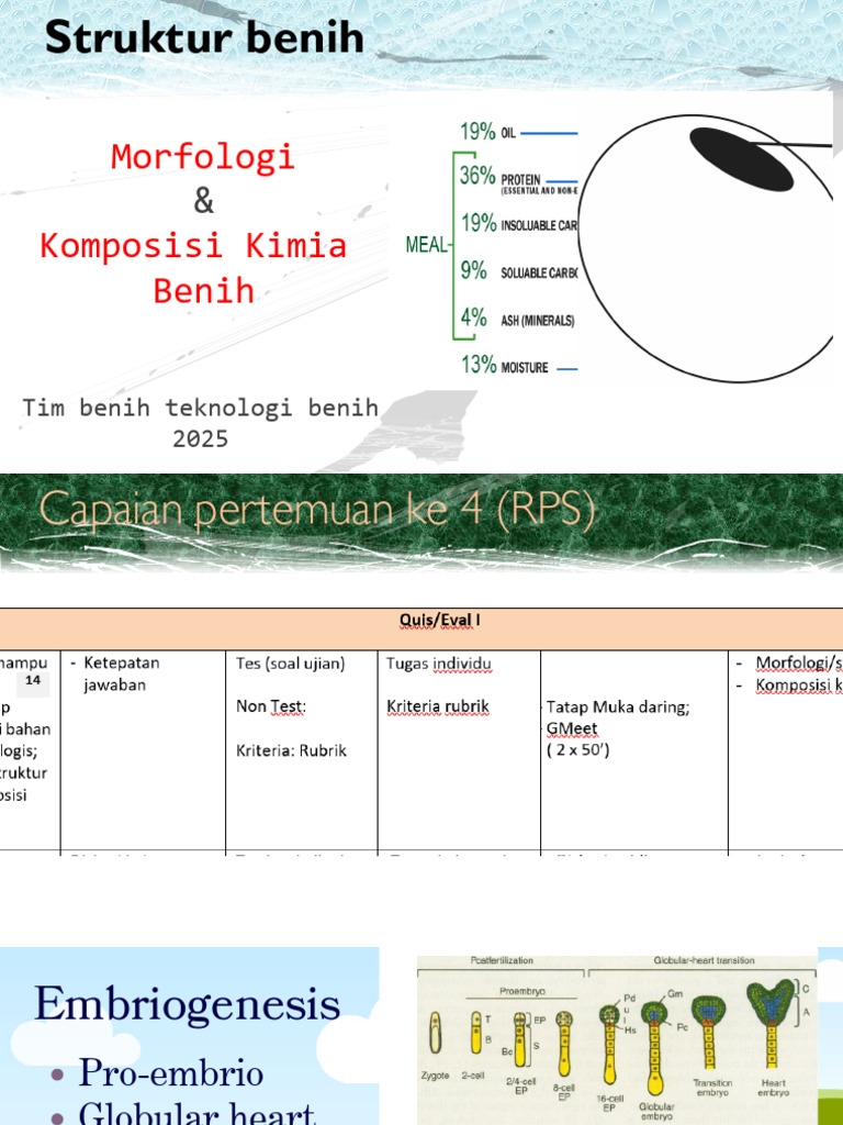 pertemuan ke 4 struktur morfologi dan komposisi kimia 25.pptx_20250320 ...