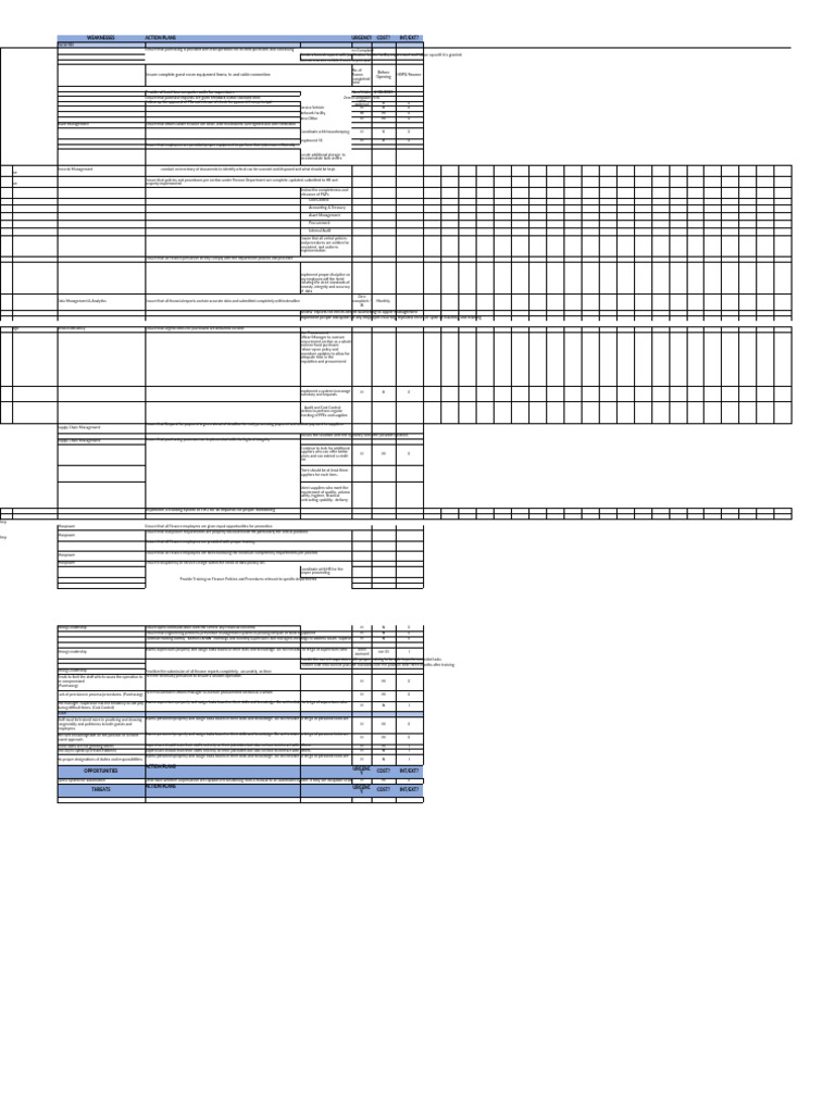 Strat-Action-Plan-Finance_ final REVISED | PDF | Supply Chain | Procurement
