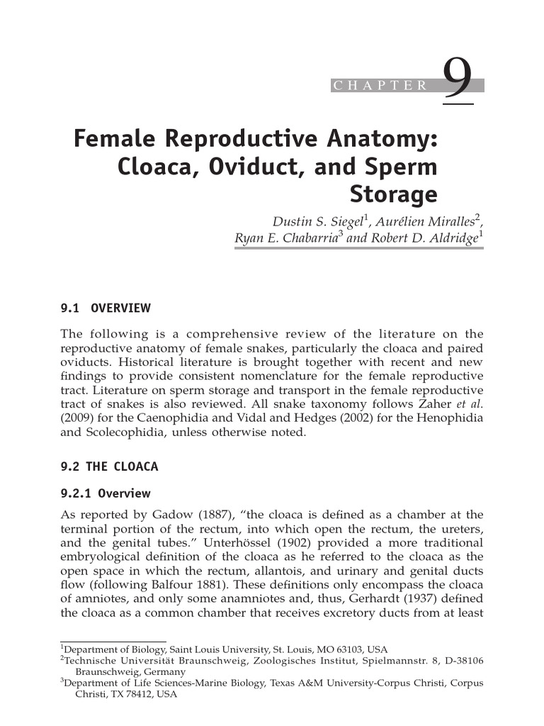 Female Snake Reproductive Anatomy Overview | PDF | Epithelium | Cell ...