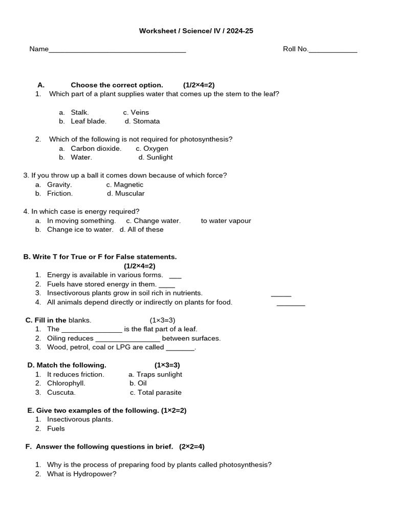 Class-IV Social Science Worksheet | PDF