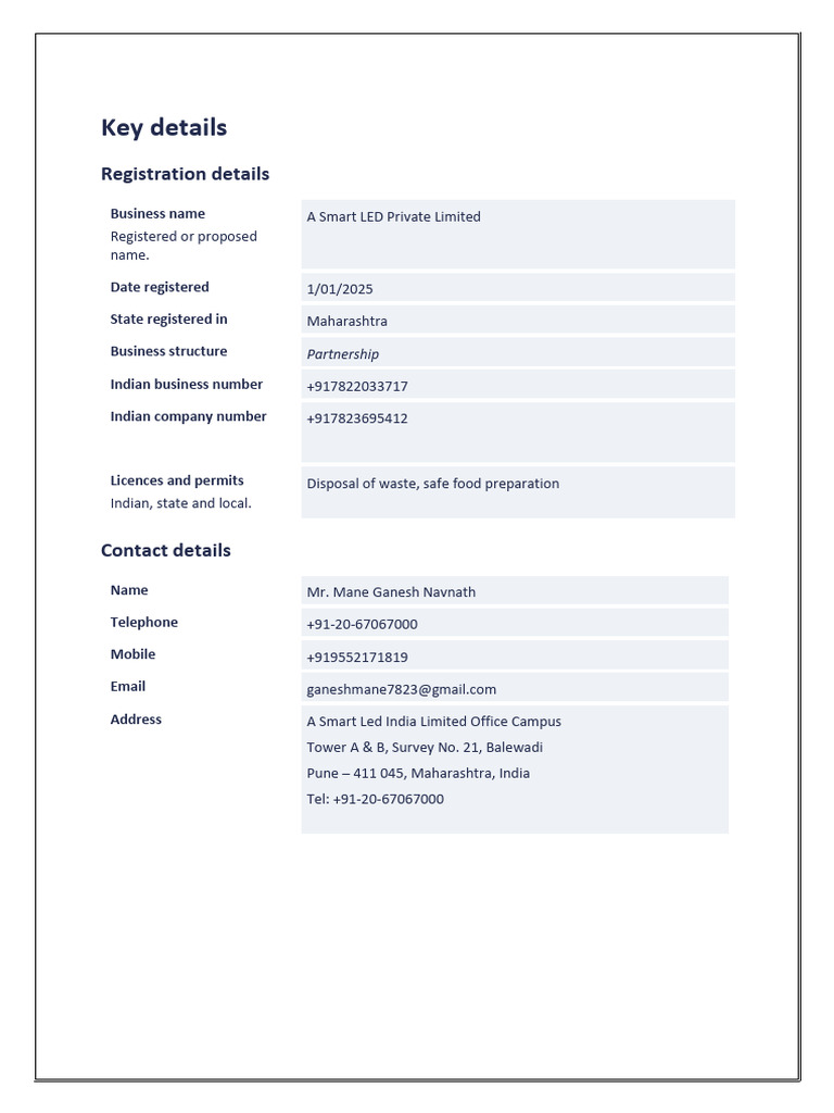 Business Plan Template 1 | PDF | E Commerce | Pricing