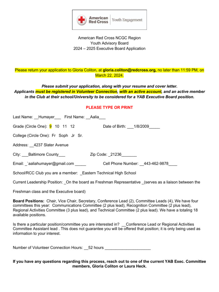 YAB-Executive-Board-Application-Final | PDF