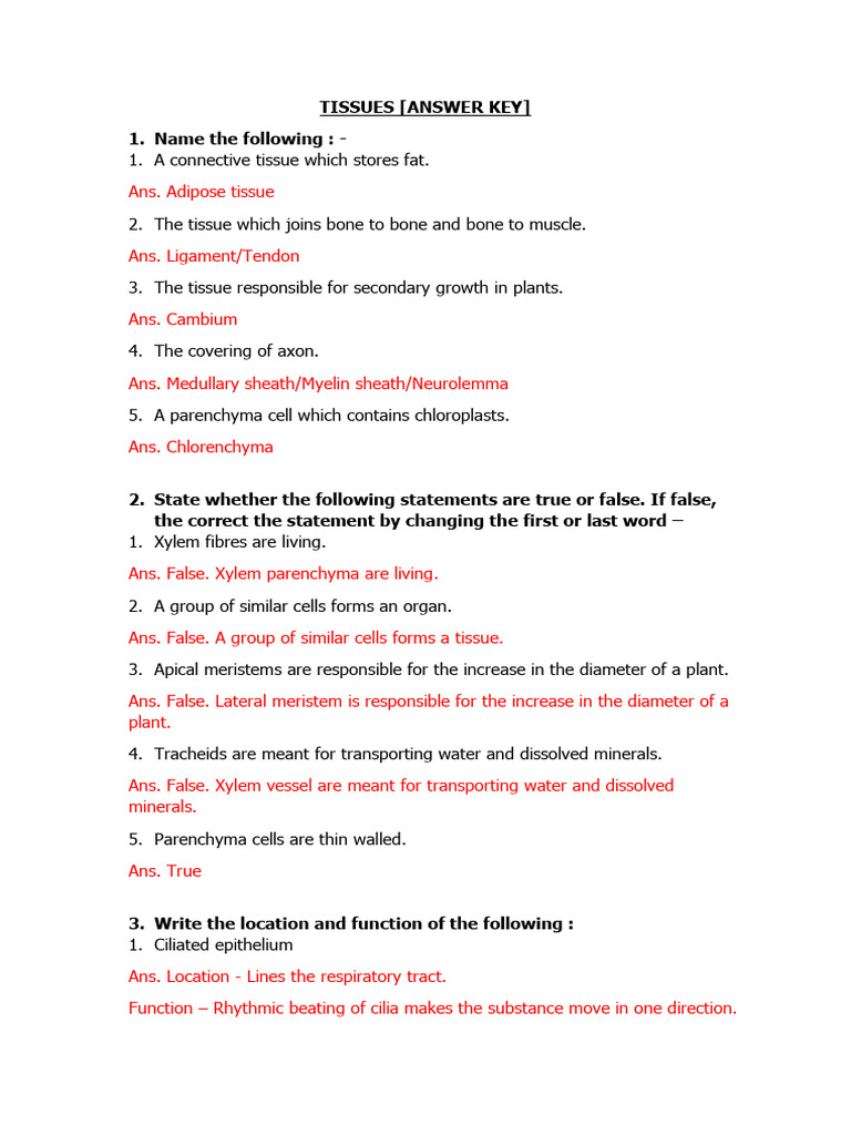 Tissues Work Sheet - Answer Key | PDF | Tissue (Biology) | Anatomy