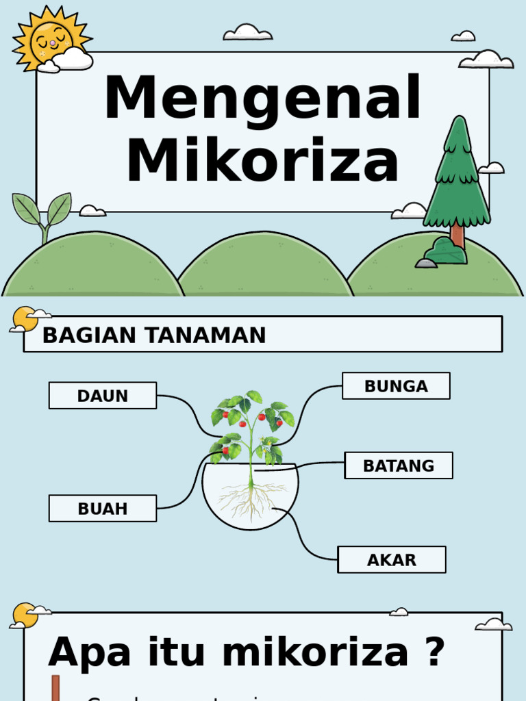 Ppt Mikoriza 2.0 | PDF