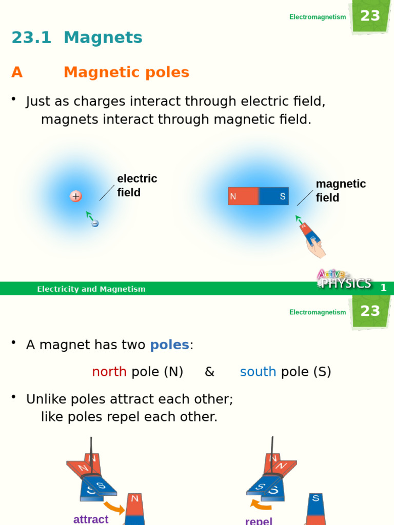 Understanding Magnetic Fields and Poles | PDF | Magnet | Magnetic Field