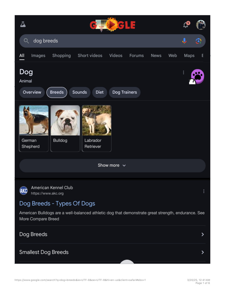 Dog Breeds - Google Search | PDF | Dogs | Dog Breeds