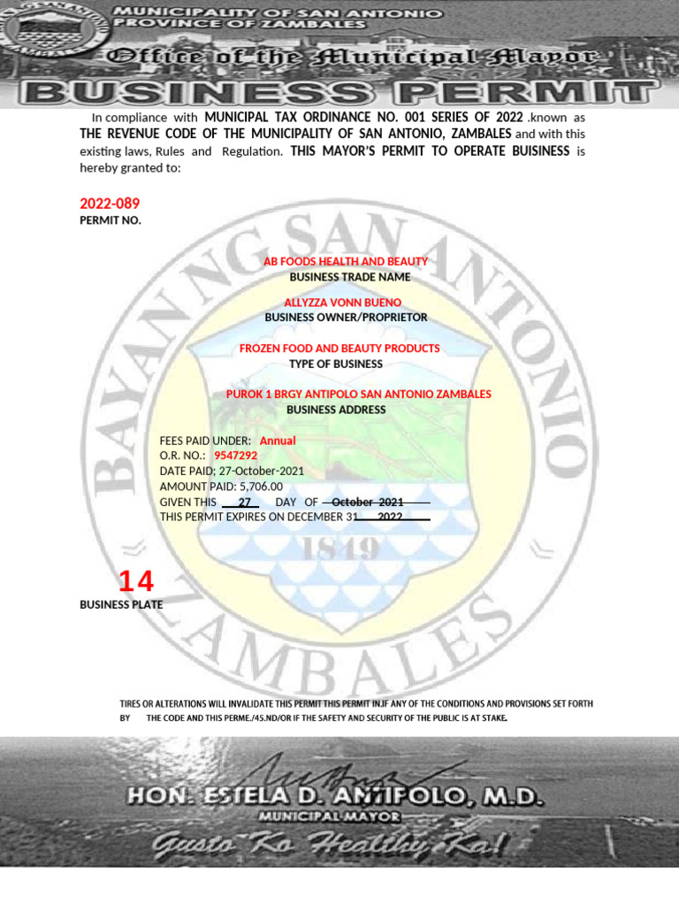San Antonio Business Permit 2022 | PDF