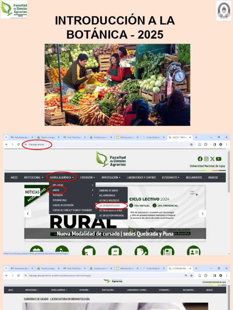 Introducción A La Botánica Clase 1 - Botanica Alimentaria 2025 | PDF ...