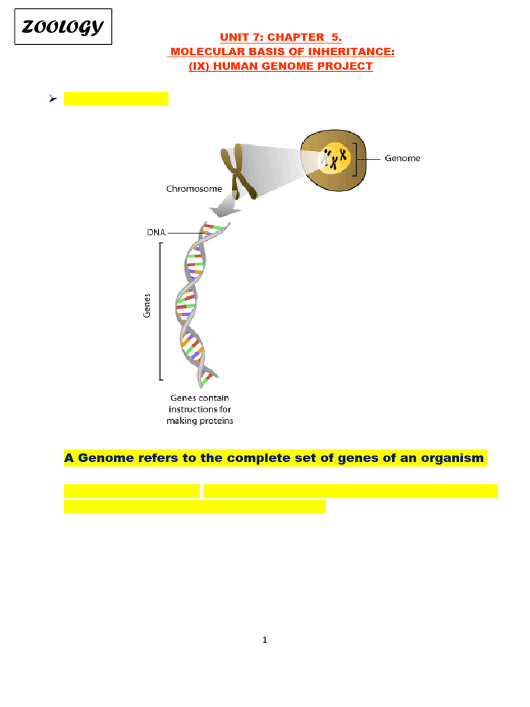 Overview of the Human Genome Project | PDF