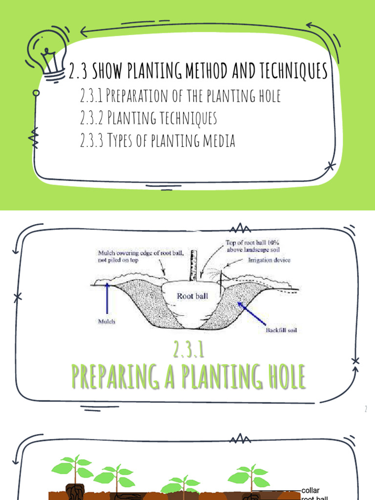 KULIAH 4 - INSTALLATION - SOFTSCAPE 3a | PDF | Fertilizer | Pruning