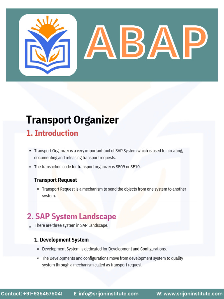 Transport Organizer_ A Key to Seamless System Management! | PDF ...