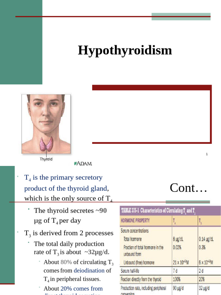 Thyroid Physiology TFT & Hypothyroidism Mulugeta | PDF | Hypothyroidism | Thyroid