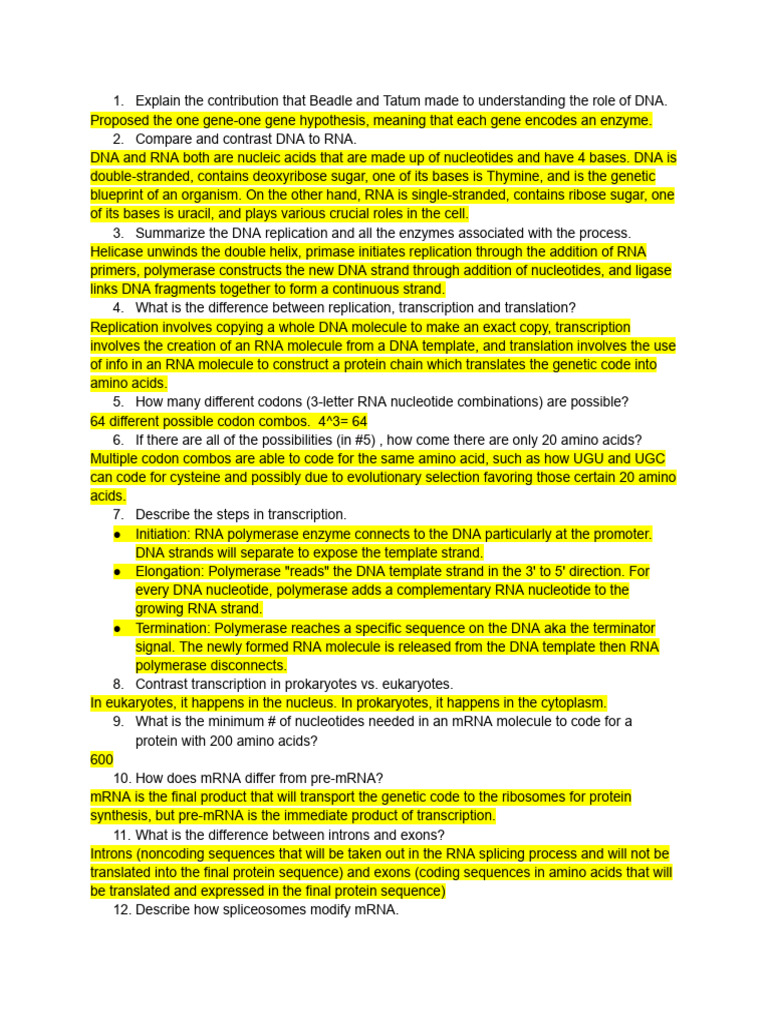 Ch. 14 Protein Synthesis Questions | PDF | Messenger Rna | Translation ...