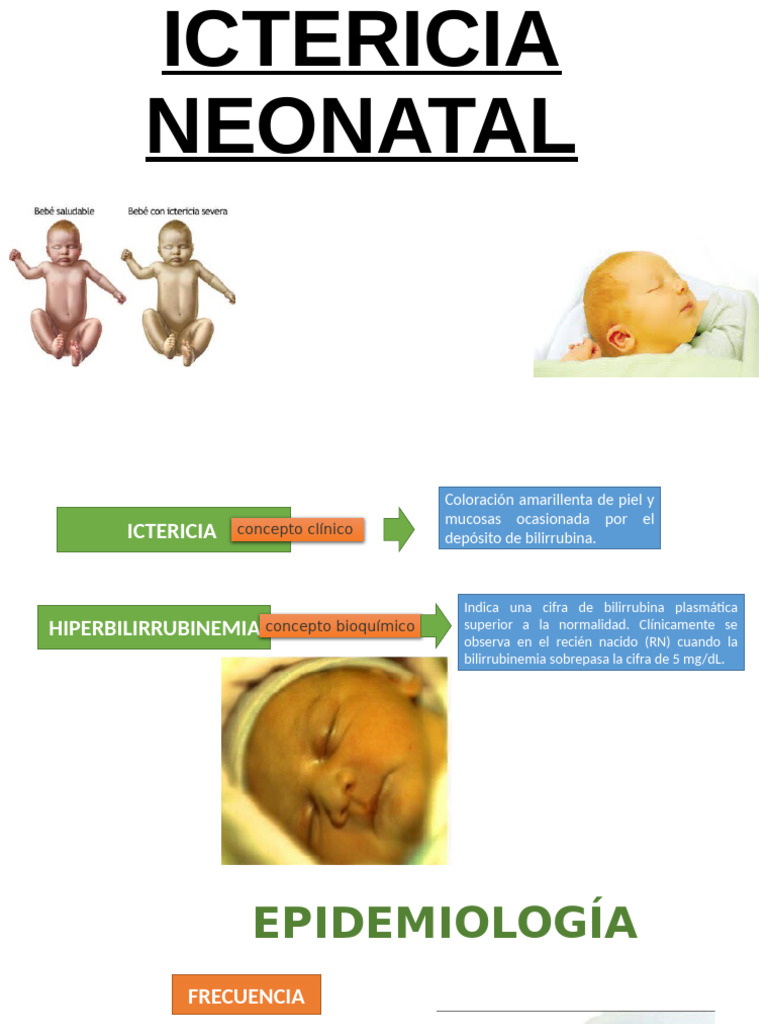 ICTERICIA neonatal mañana | PDF | Especialidades Medicas | Medicina CLINICA