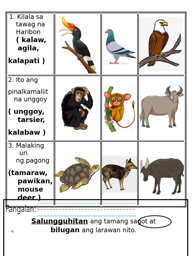 Mga Hayop Sa Ating Bansa | PDF