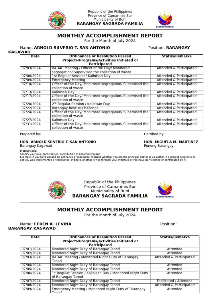 Accomplishment Report 2024 | PDF