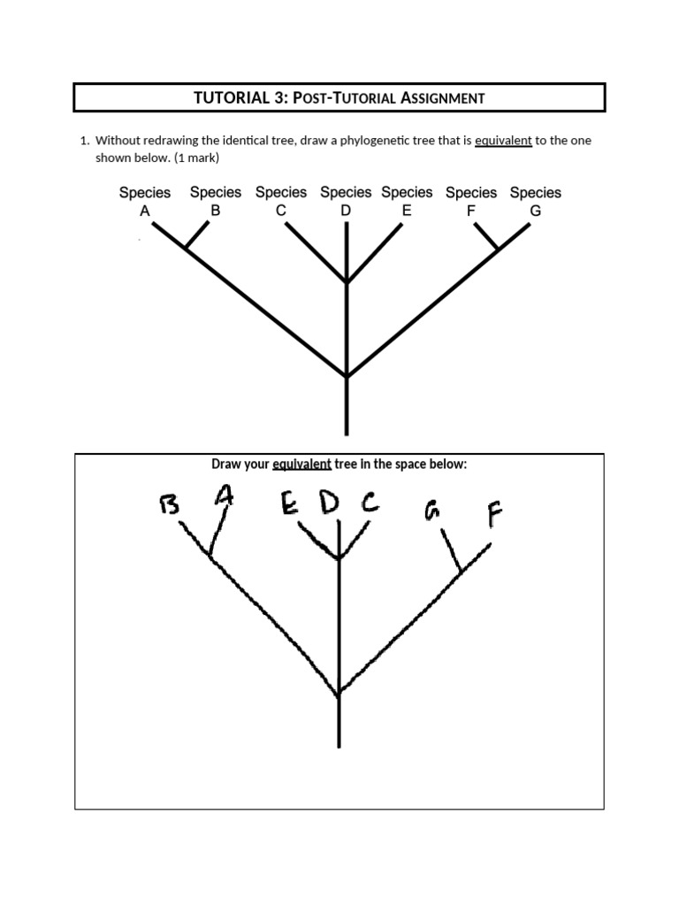 Post-Tutorial 3 Assignment W25 2 | PDF | Evolution | Chimpanzee
