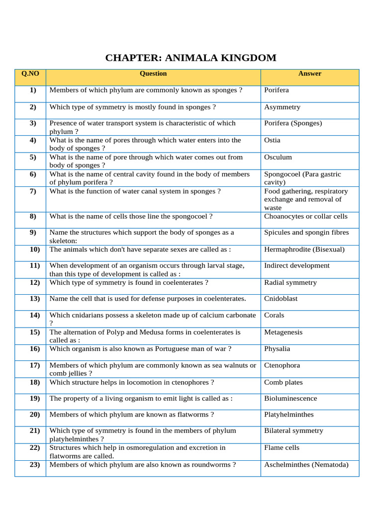 4.ANIMAL KINGDOM | PDF | Sponge | Zoology