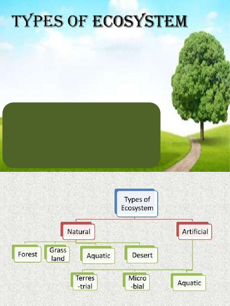Types of Ecosystem | PDF
