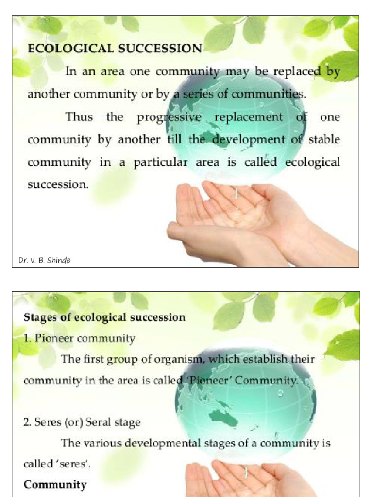 Ecological Succession | PDF