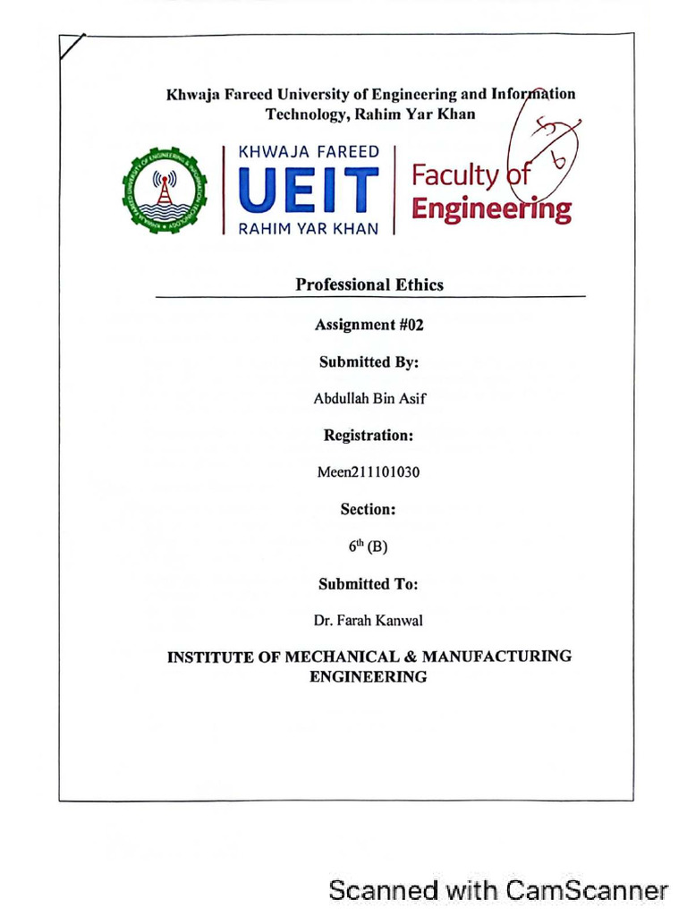 Professional Ethics Assignment | PDF