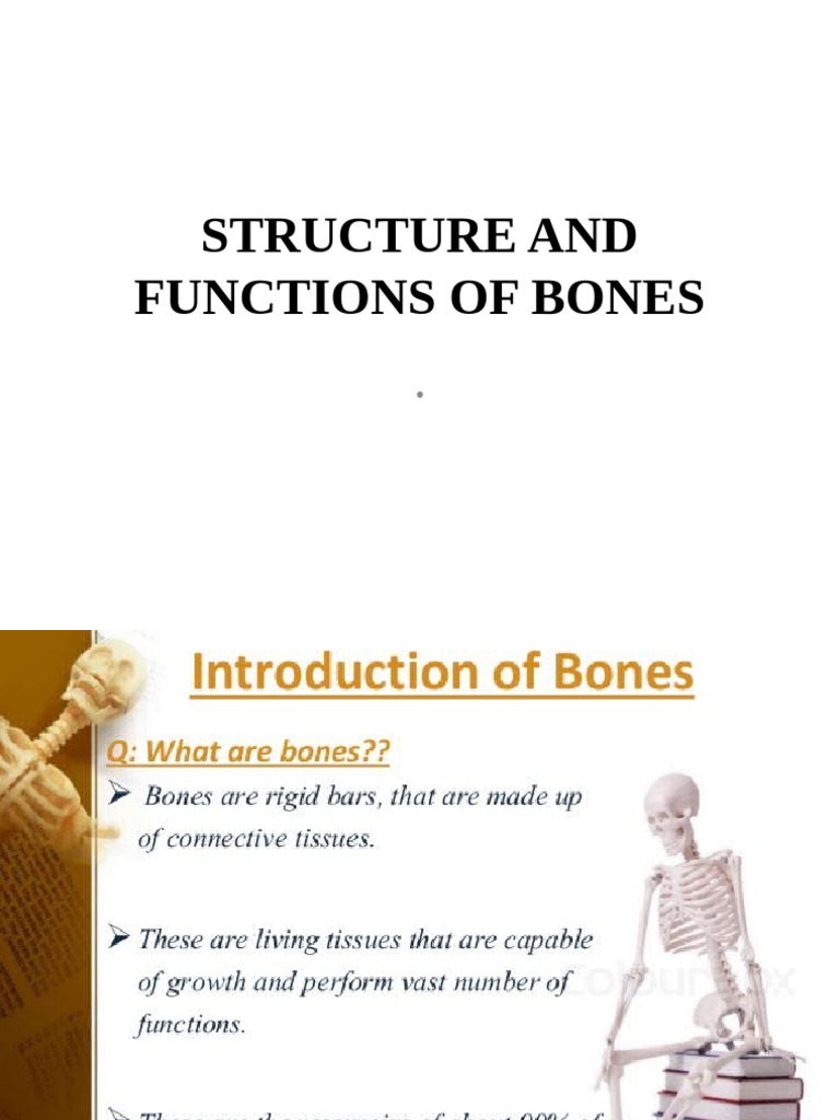 Bone Tissue-Structure & Functions | PDF