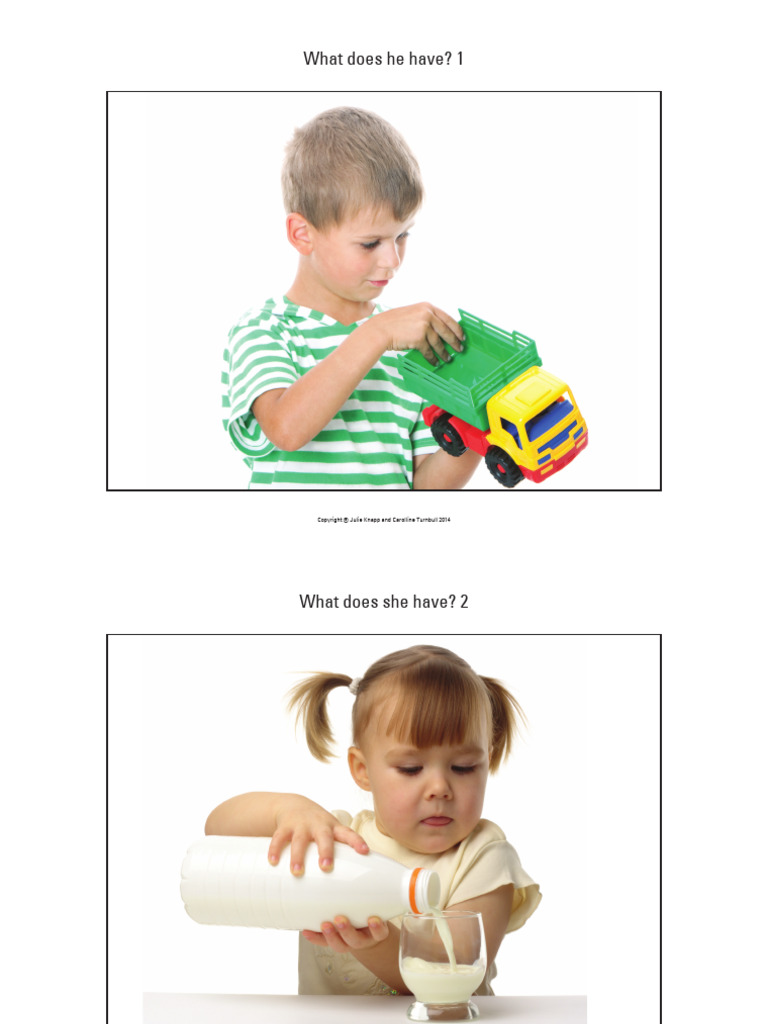 Answer Simple What Questions | PDF