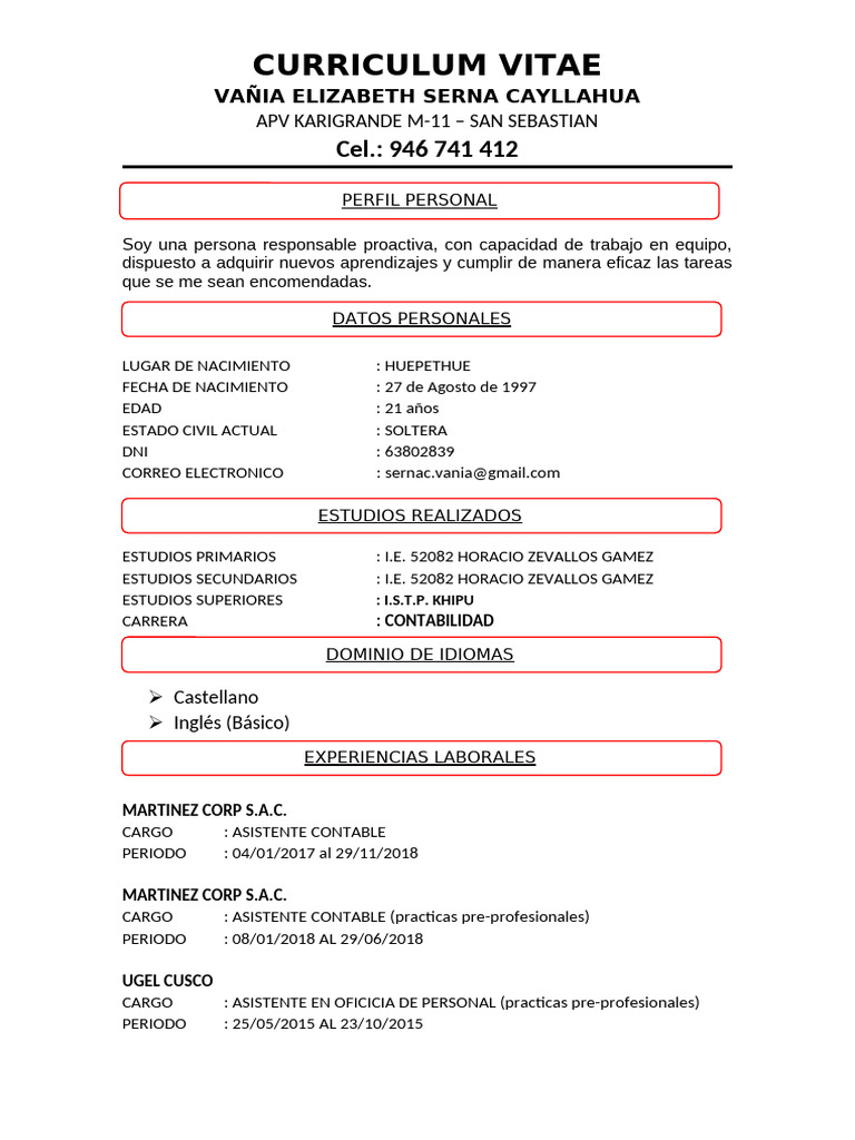 Curriculum Vitae 001 | PDF