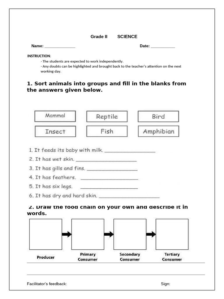 Grade II Science Activity Worksheet | PDF