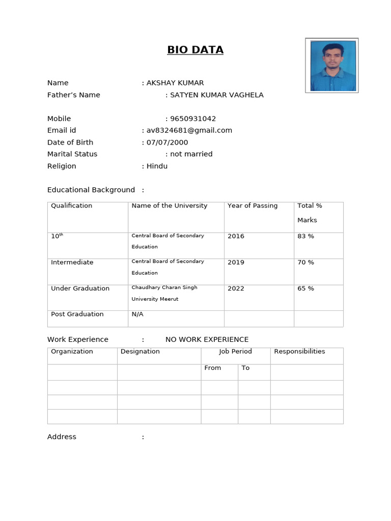 Old Resume | PDF