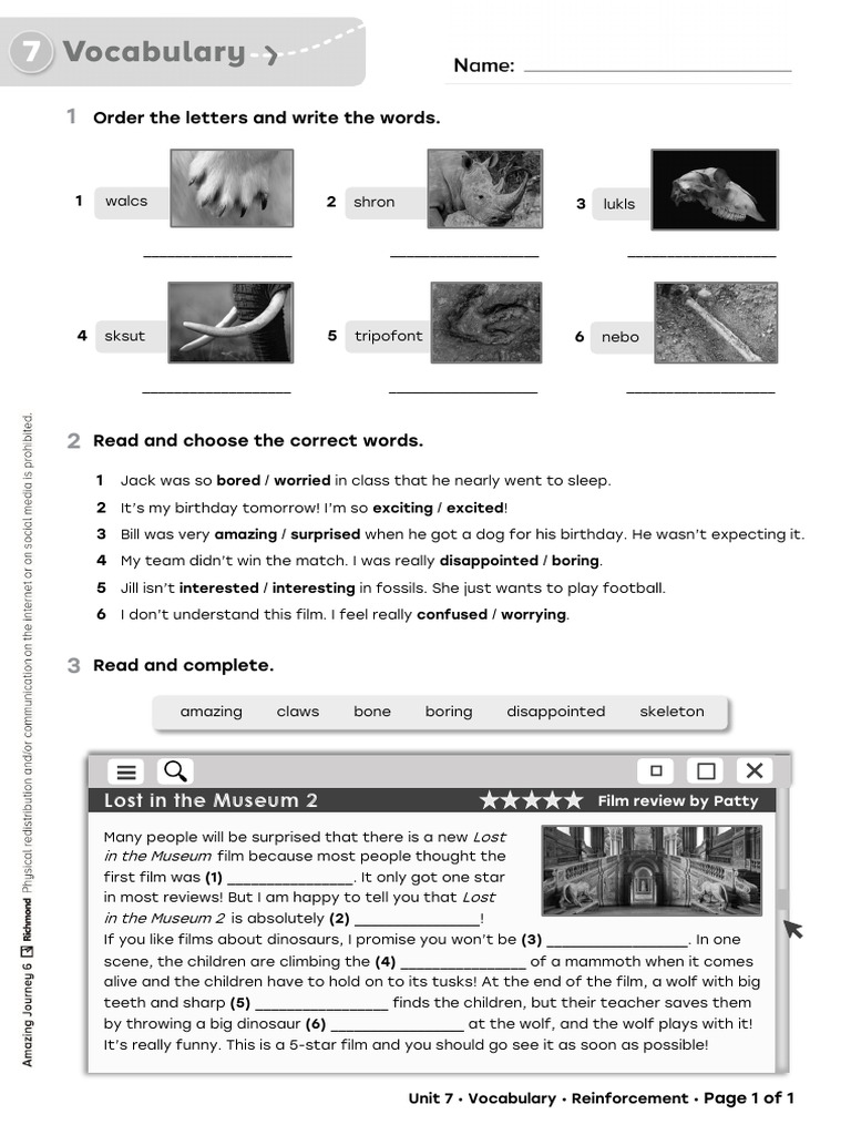 Amazing Journey 6 Unit 7 Vocabulary Reinforcement | PDF