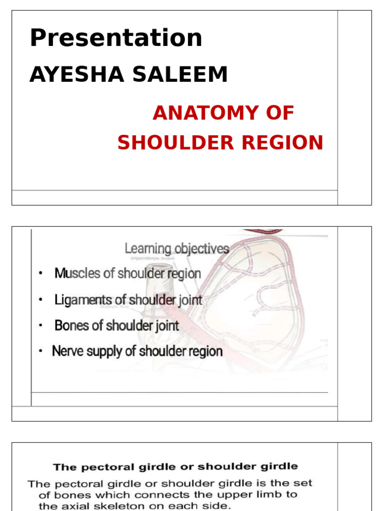 Anatomy of Shoulder Muscles and Ligaments | PDF | Shoulder | Primate ...