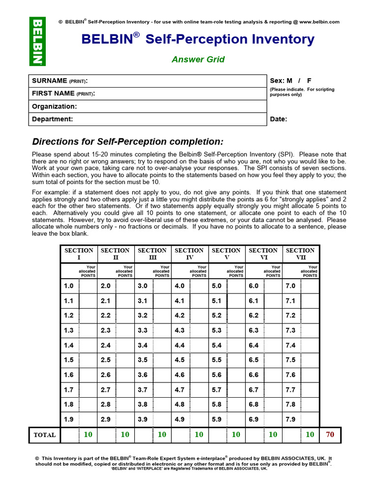 Belbin English Self Perception Inventory | PDF | Experience | Cognitive ...